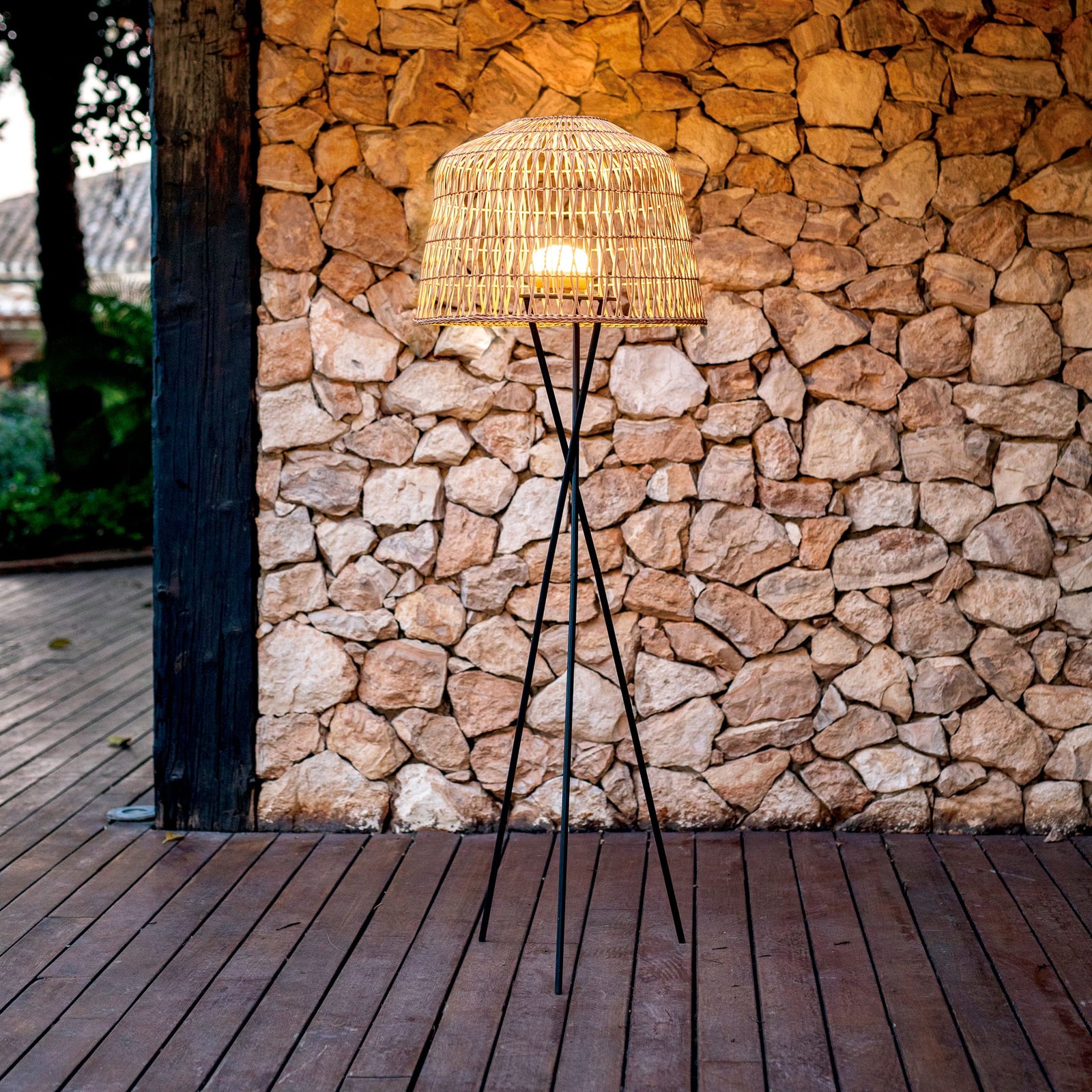 Lighting